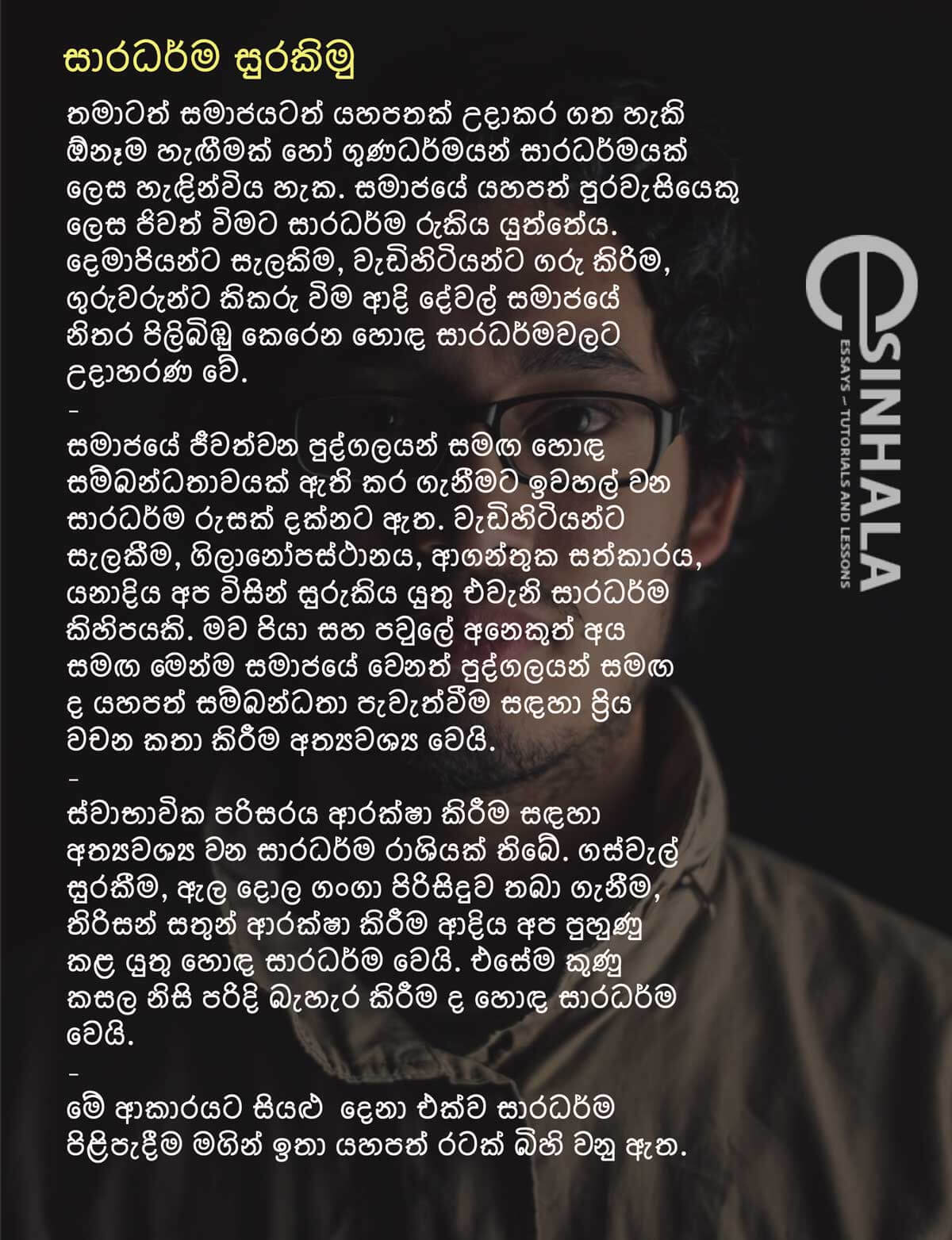 Protect Our Values Grade 6 Sinhala Essay
