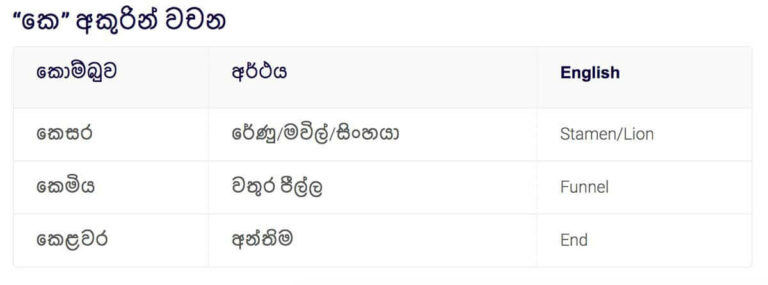 Sinhala words | English to sinhala - sinhala wachana for Grade 1 , 2