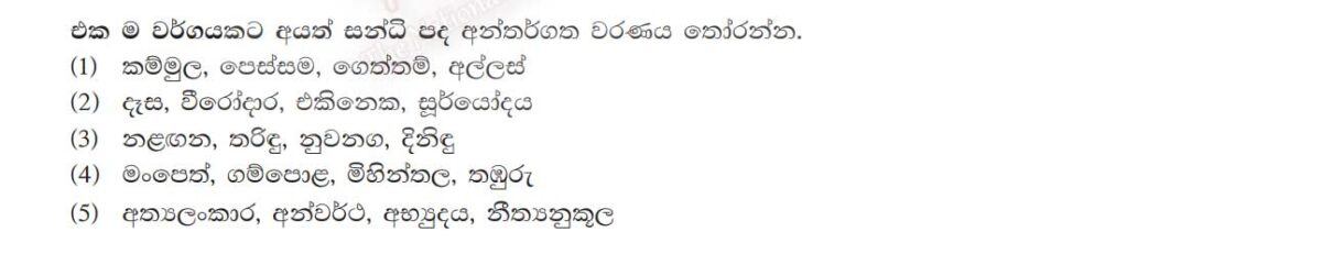 Grade 12 Art Sinhala Grammar - Test 1 - Sinhala Essays
