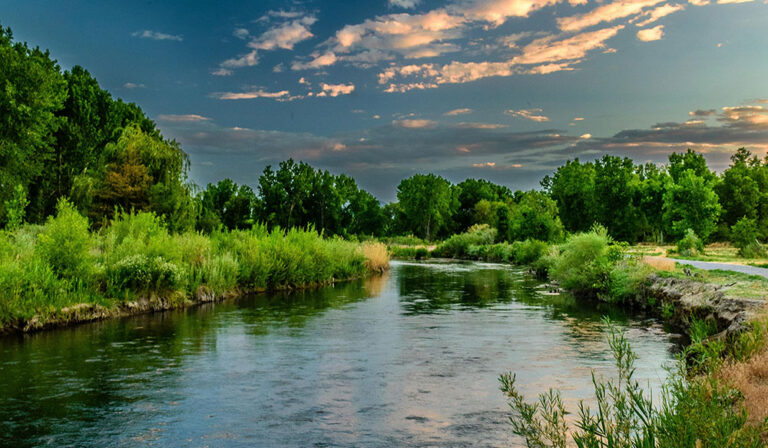 Sinhala Essays online download | Free Sinhala rachana for Grade 6 to 13